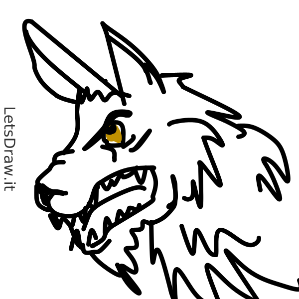 Wolf Angry Drawing