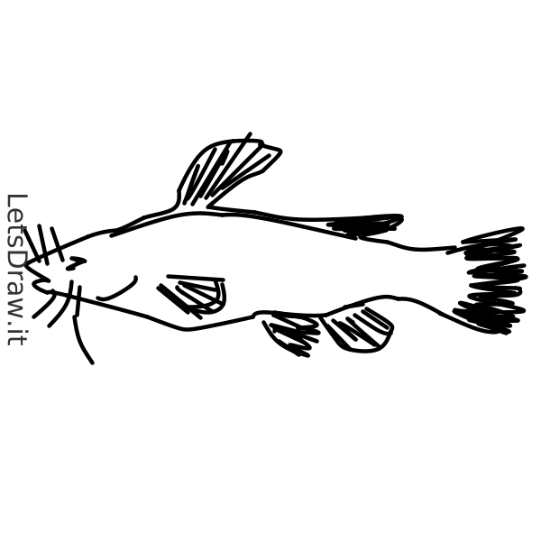How to draw cat-fish / khsqfg1ij.png / LetsDrawIt