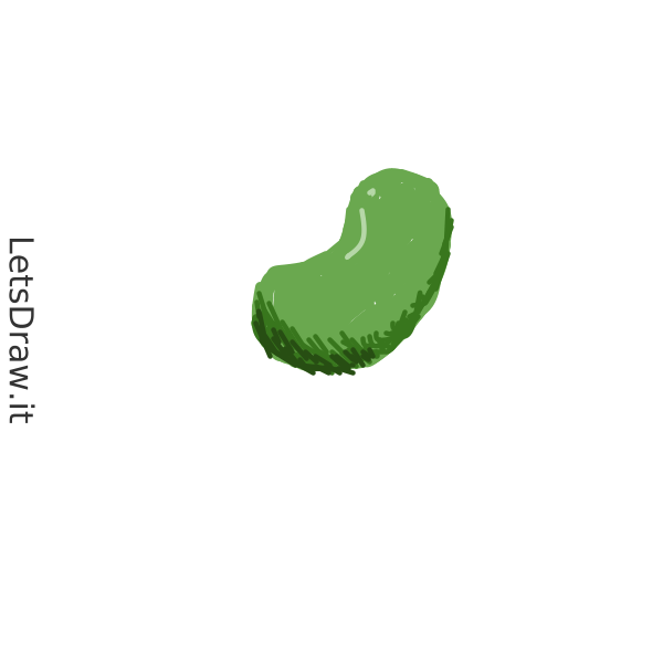 How to draw bean / kk5qgsunm.png / LetsDrawIt