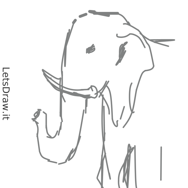 How to draw elephant / koucn1h58.png / LetsDrawIt