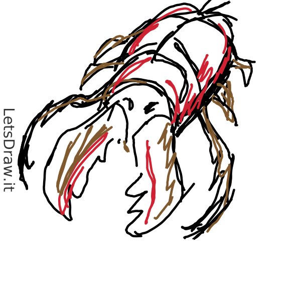 How to draw bug / ktuycwk4h.png / LetsDrawIt