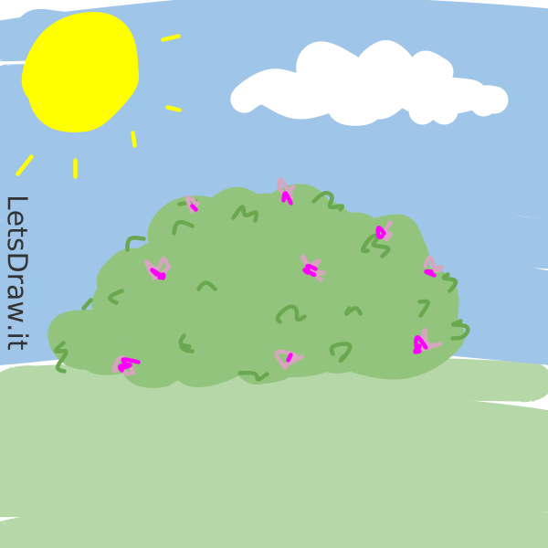 How to draw Bush / Learn to draw from other LetsdrawIt players