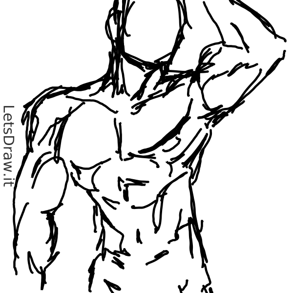 How to draw muscle / kye6c35s6.png / LetsDrawIt