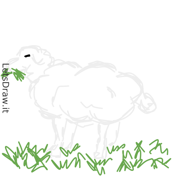 How to draw sheep / kyymgmkhh.png / LetsDrawIt