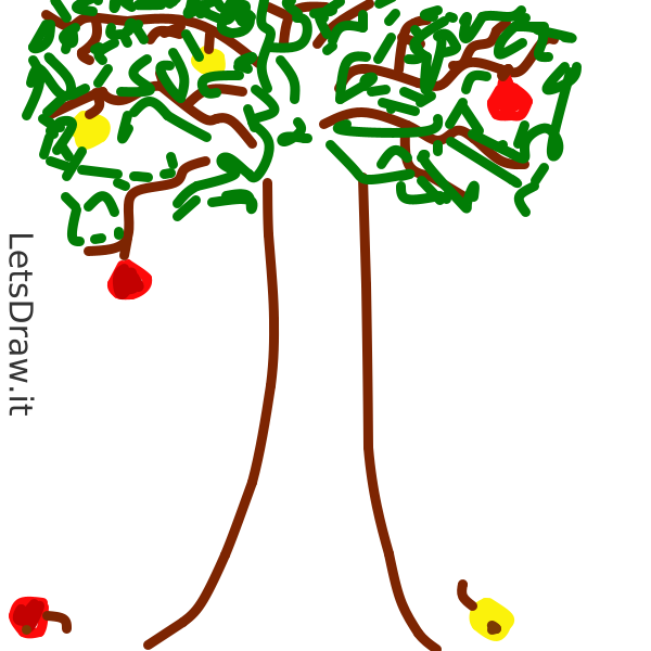 How to draw apple tree / kzqueho4g.png / LetsDrawIt
