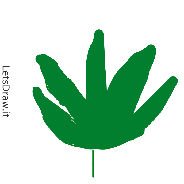 How to draw Cannabis / m5jmk8ito.png / LetsDrawIt