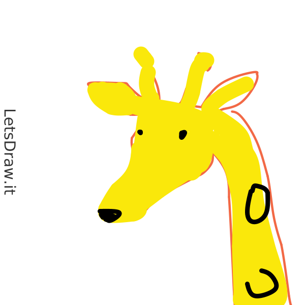 How to draw giraffe / m5zxdfs65.png / LetsDrawIt