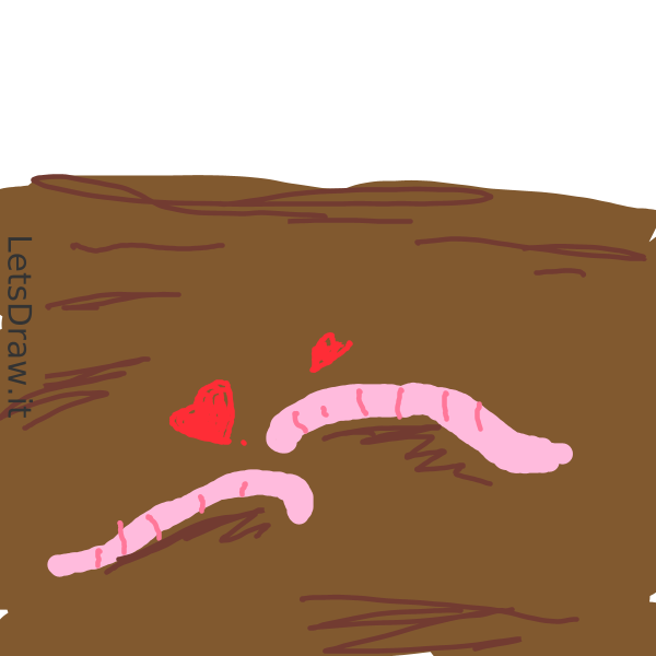 How to draw Worms / m6jfrdb4w.png / LetsDrawIt