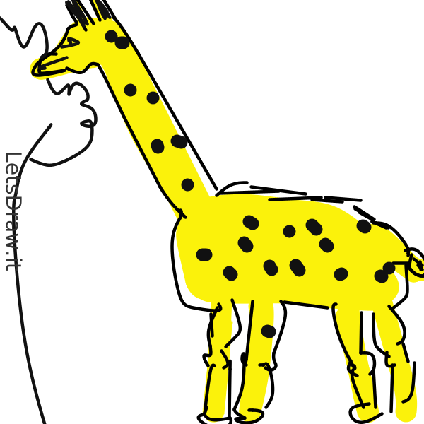 How to draw animal / maxxctr1i.png / LetsDrawIt