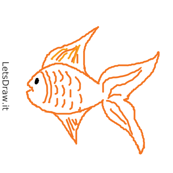 How to draw fish / mfu4oerzw.png / LetsDrawIt