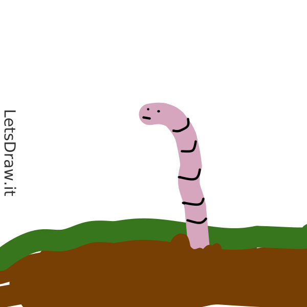 How to draw earthworm / mk4fejeng.png / LetsDrawIt