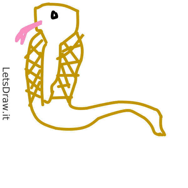 How to draw cobra / mr7ee35fd.png / LetsDrawIt