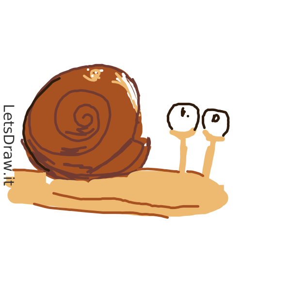 How to draw snail / mtj3bpp8w.png / LetsDrawIt