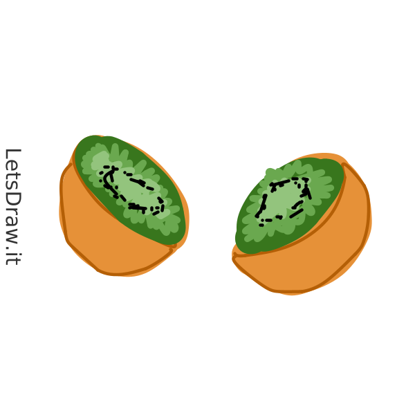 How to draw kiwi / mudgg7z9z.png / LetsDrawIt