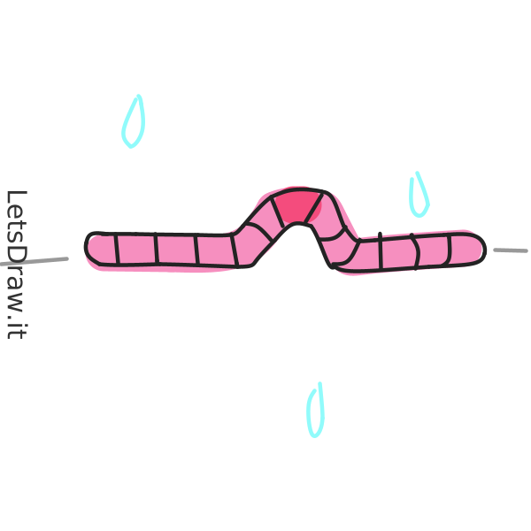 How to draw earthworm / LetsDrawIt