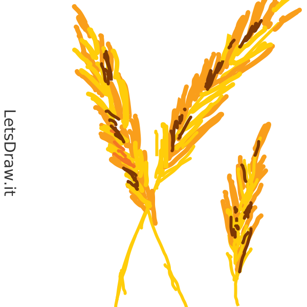 How to draw wheat / n9jyttmzy.png / LetsDrawIt