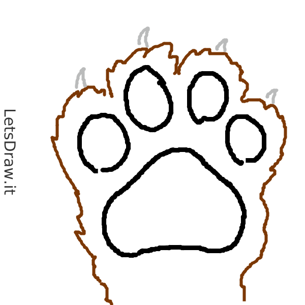 How to draw paw / n9tpx6w8e.png / LetsDrawIt