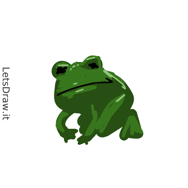 How to draw frog / na3re8ai.png / LetsDrawIt