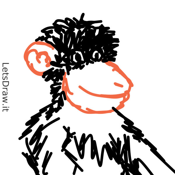 How to draw ape / nab8r8mui.png / LetsDrawIt