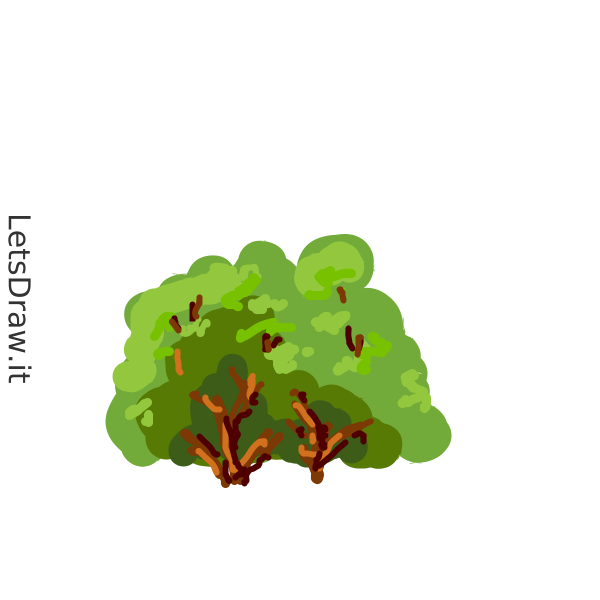 How to draw bush / naz3ufzkc.png / LetsDrawIt
