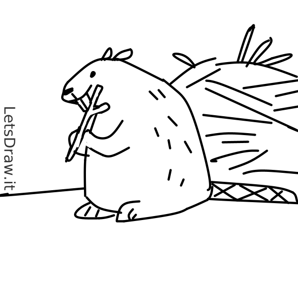 Biber zeichnen / LetsDrawIt