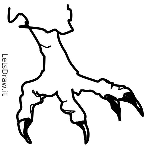 How to draw claw / ncgrftgic.png / LetsDrawIt