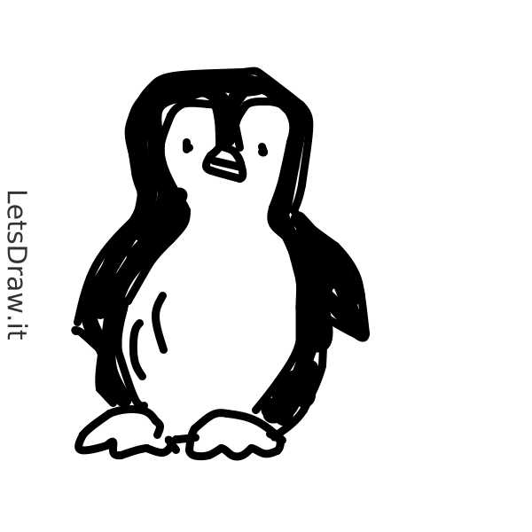 How to draw penguin / neaqat31.png / LetsDrawIt