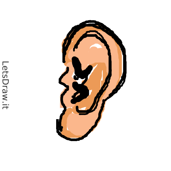 How to draw ear / nep8qegj6.png / LetsDrawIt