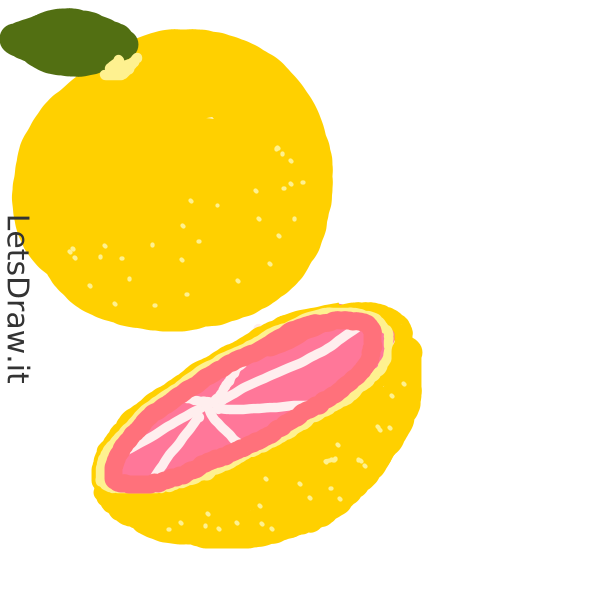 How to draw grapefruit / ngt1q3wo7.png / LetsDrawIt