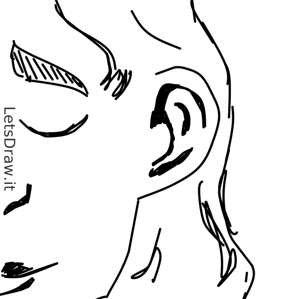How to draw ears / nkq3n3ytn.png / LetsDrawIt