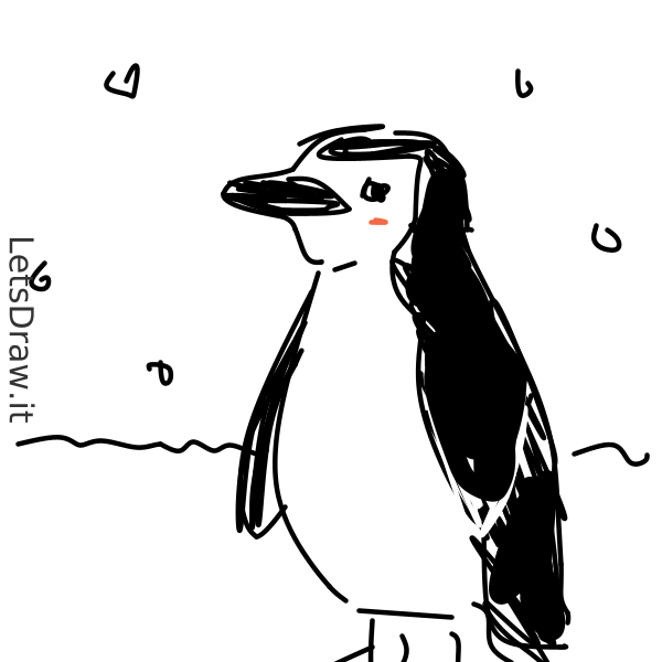 How to draw penguin / nnojn3zjy.png / LetsDrawIt