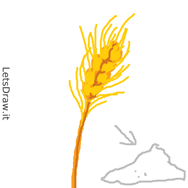 How to draw wheat / no6fozeg6.png / LetsDrawIt