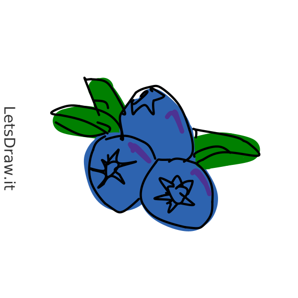 How to draw blueberry / np4mbn3ac.png / LetsDrawIt