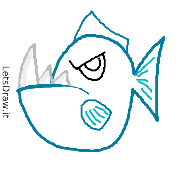 How to draw fish / nq6yoxs8b.png / LetsDrawIt