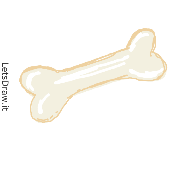 How to draw bone / LetsDrawIt