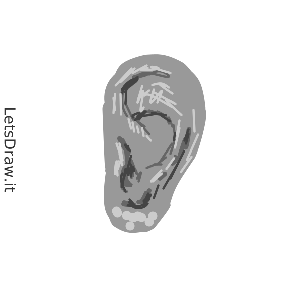 How to draw ear / o1heeiqjq.png / LetsDrawIt