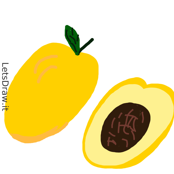 How to draw apricot / o3esebj6z.png / LetsDrawIt