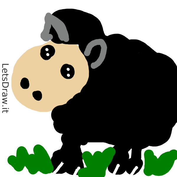 How to draw black sheep / o3zioyk4n.png / LetsDrawIt