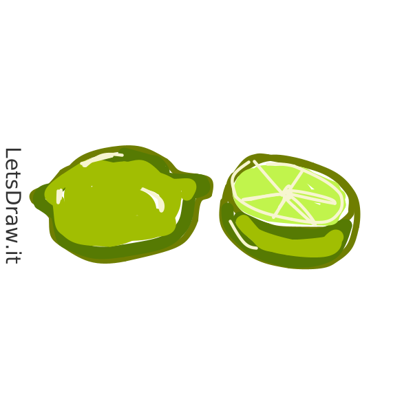 How to draw Lime / o4fbma74q.png / LetsDrawIt