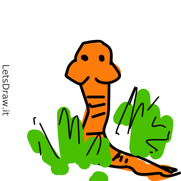 How to draw grass snake / o5acpc534.png / LetsDrawIt