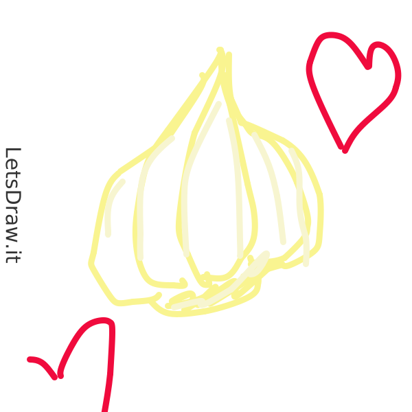 How to draw garlic / o9qictn43.png / LetsDrawIt
