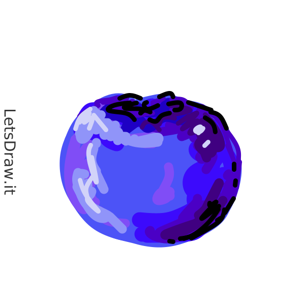 How to draw blueberry / obtbkfxn4.png / LetsDrawIt