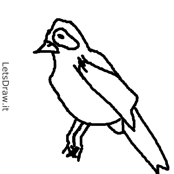 How to draw sparrow / odc7omjf9.png / LetsDrawIt