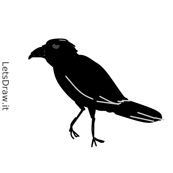 How To Draw A Cartoon Raven Art For Kids Hub