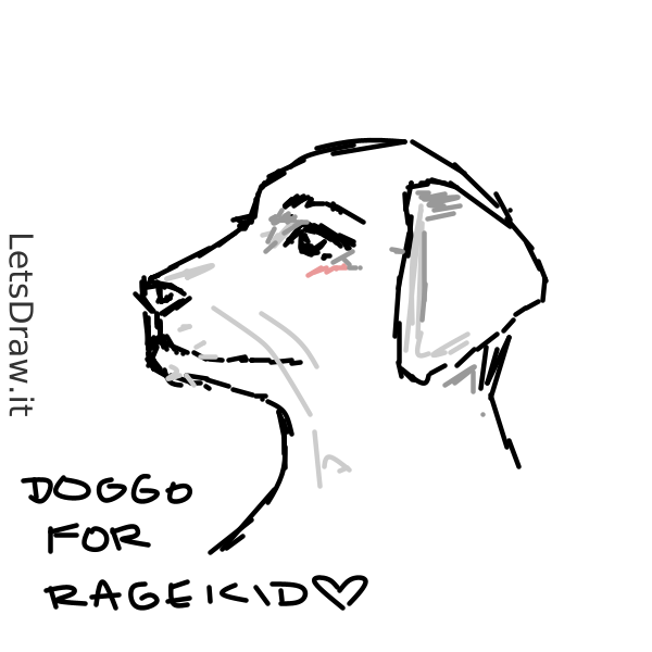 How to draw animal / ofoh8ageu.png / LetsDrawIt