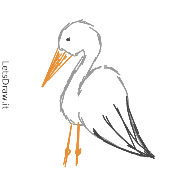 How to draw stork / ofrygxaqz.png / LetsDrawIt