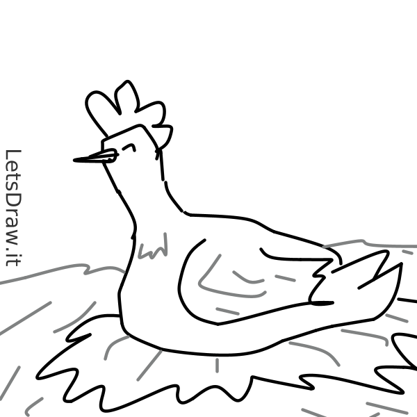 How to draw hen / og5gn77oh.png / LetsDrawIt