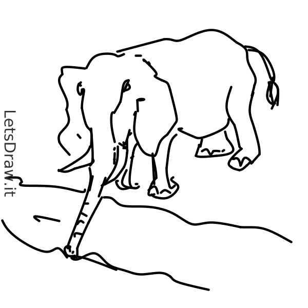 How to draw Elephants / og5iboatj.png / LetsDrawIt
