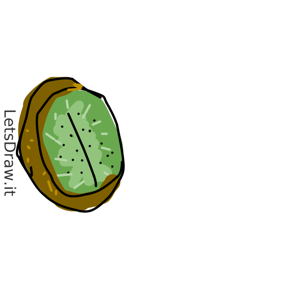 How to draw kiwi / oh31fx9dx.png / LetsDrawIt
