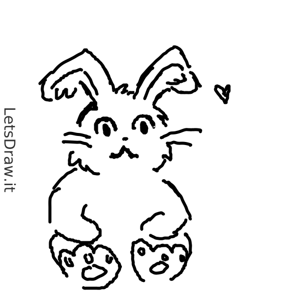 How to draw animal / ohipte1hy.png / LetsDrawIt